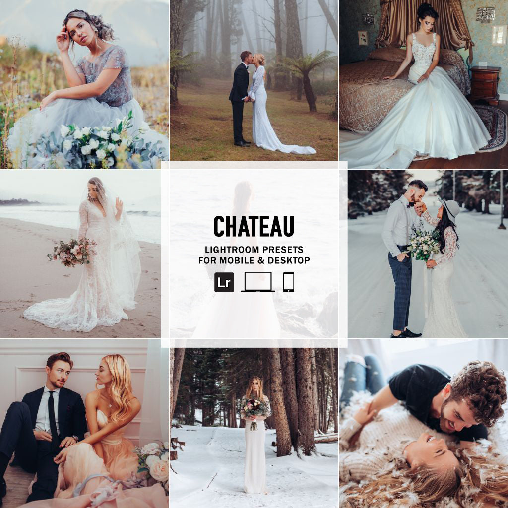 Chateau - Single Color Palette Lightroom Presets & AI Tools Clearance ...